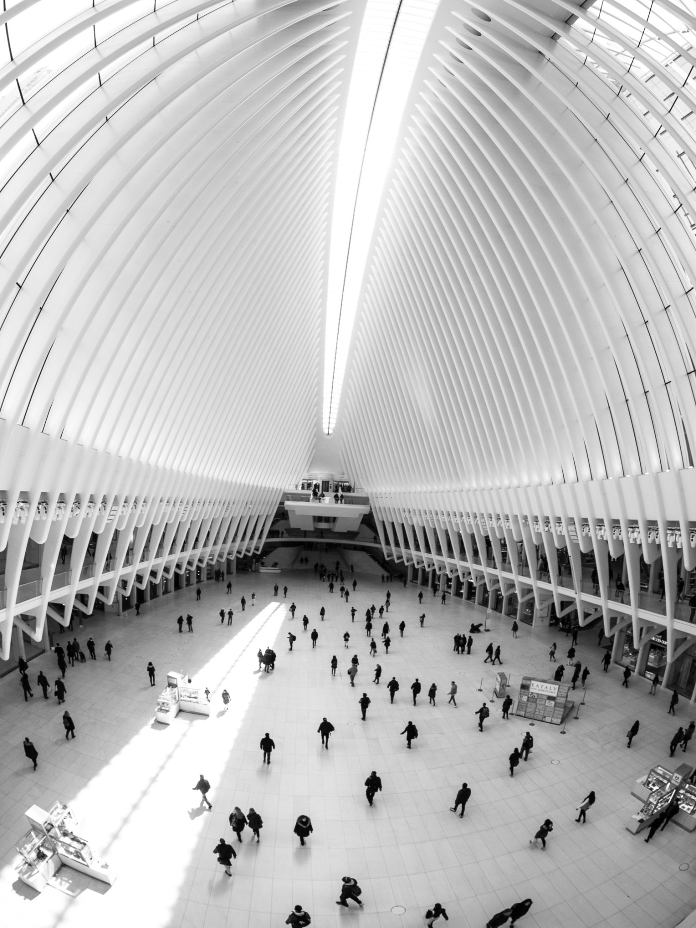 NYC Experience - Oculus • Streets of Nuremberg • Street Photography